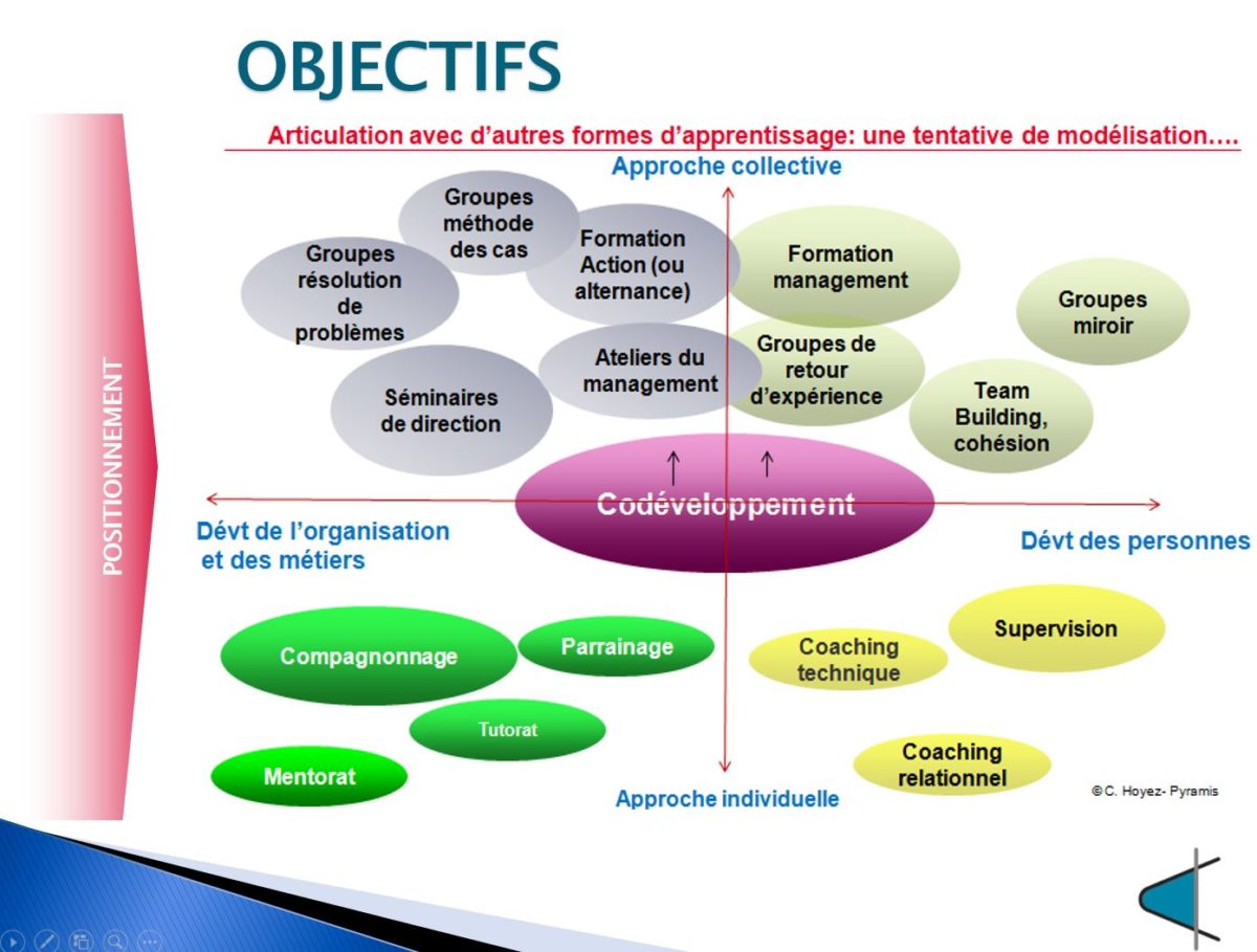 Le Codéveloppement pour la performance des équipes dirigeantes en ...